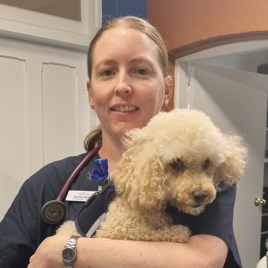 Dr Dale Mc Phee BSc BVMS - The Vet Connection East Fremantle